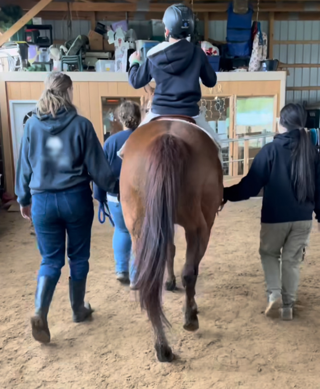 My Journey to Hippotherapy By Anna Jordan – Healing H'Arts Equestrian ...